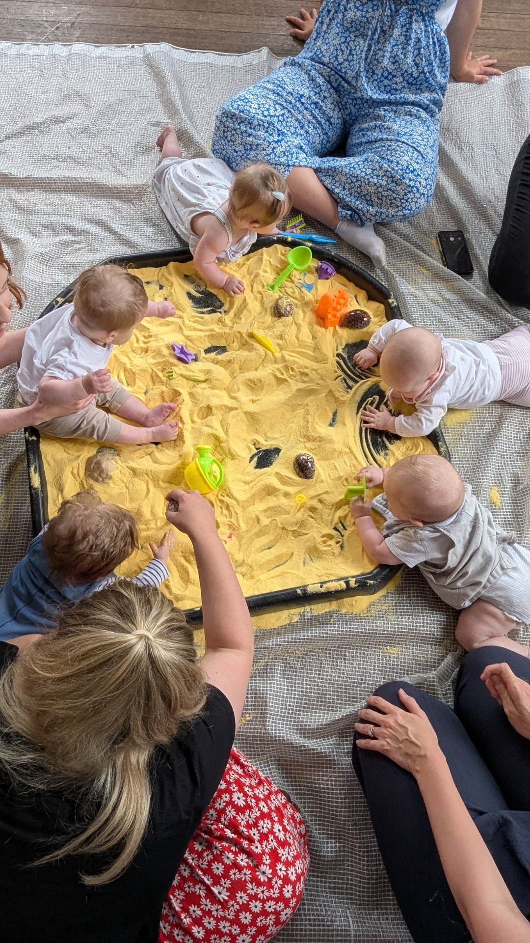 Fridays at Wild Tots PAYG 23/1/25 - Adventure Babies